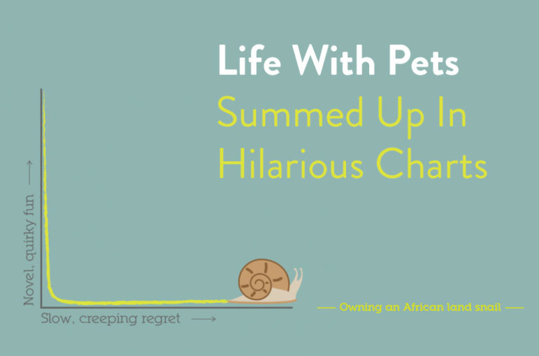 Life With Pets Summed Up In Hilarious Charts - Climadoor