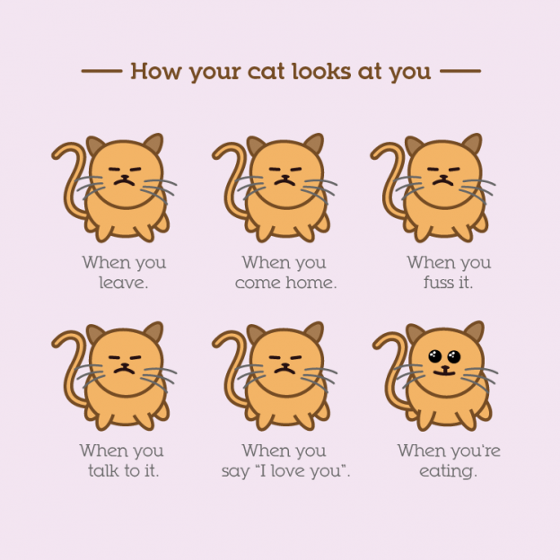 Life With Pets Summed Up In Hilarious Charts - Climadoor